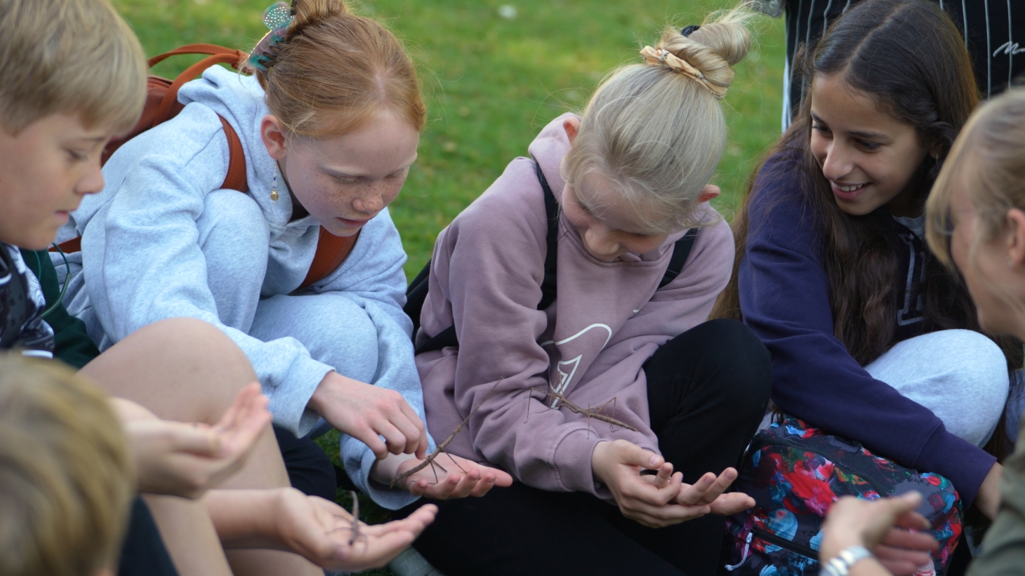 Kryb og Kravl | ULF i Aarhus